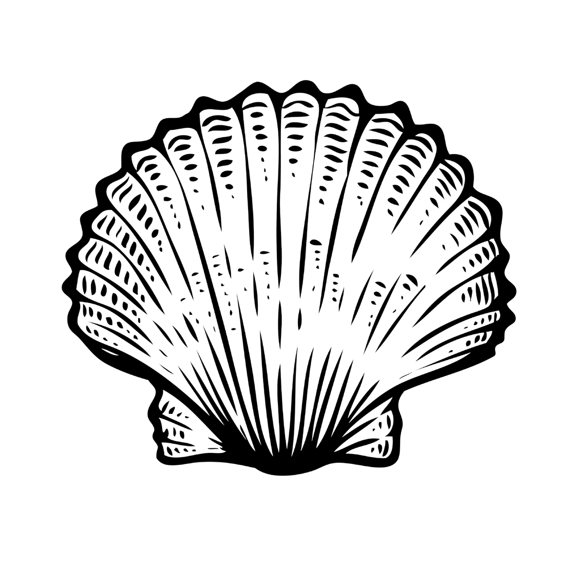 SCALLOP SHELL – Make Your Mark Customs